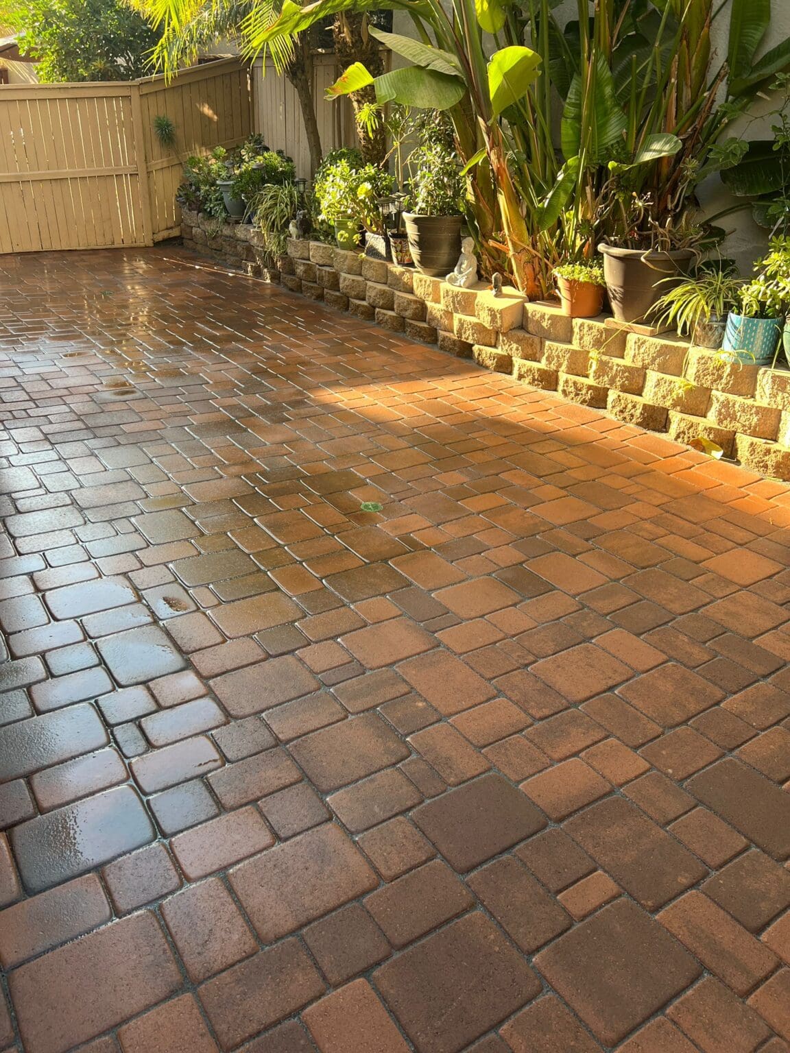 Concrete & Paver Restoration Carlsbad | California Clean & Seal